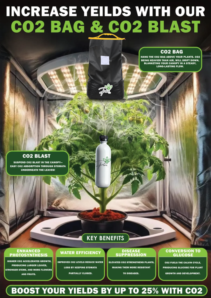 Co2 Bags - Mushroom Co2 Bags - Pure CO2